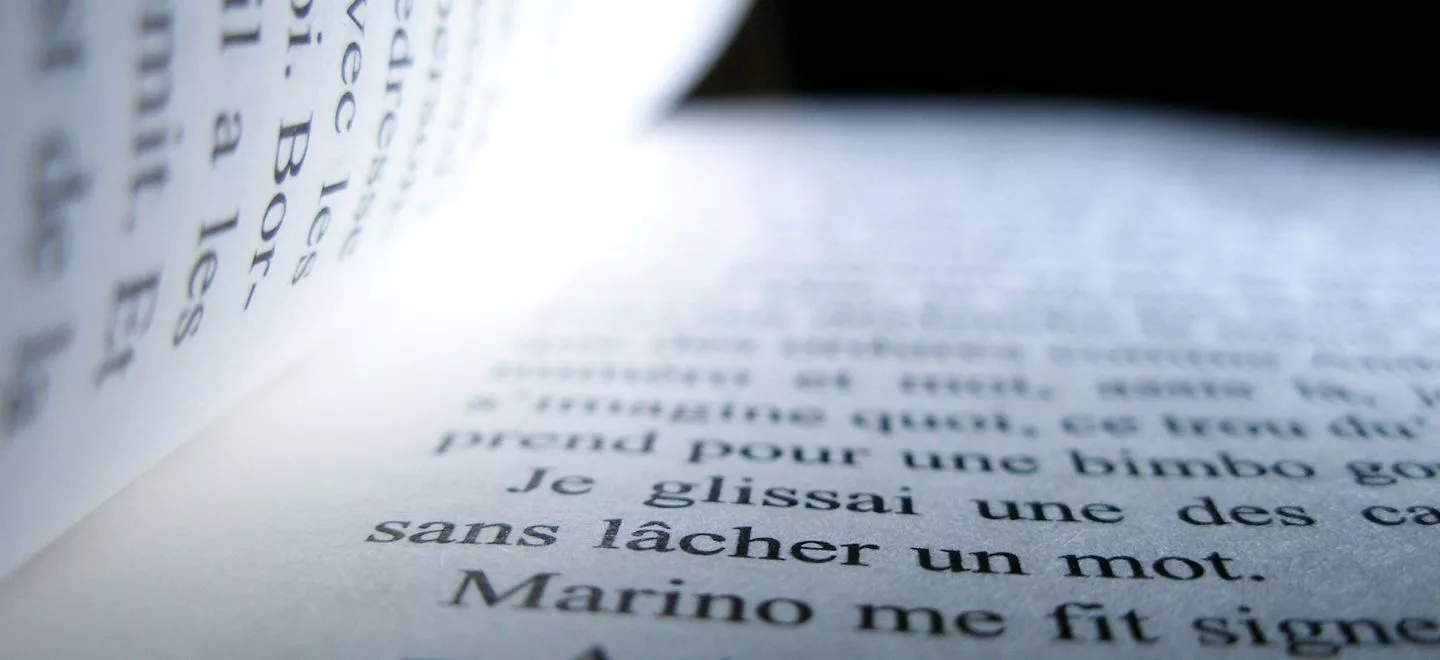 French Through Creative Writing - Atelier d'écriture - Institut ...